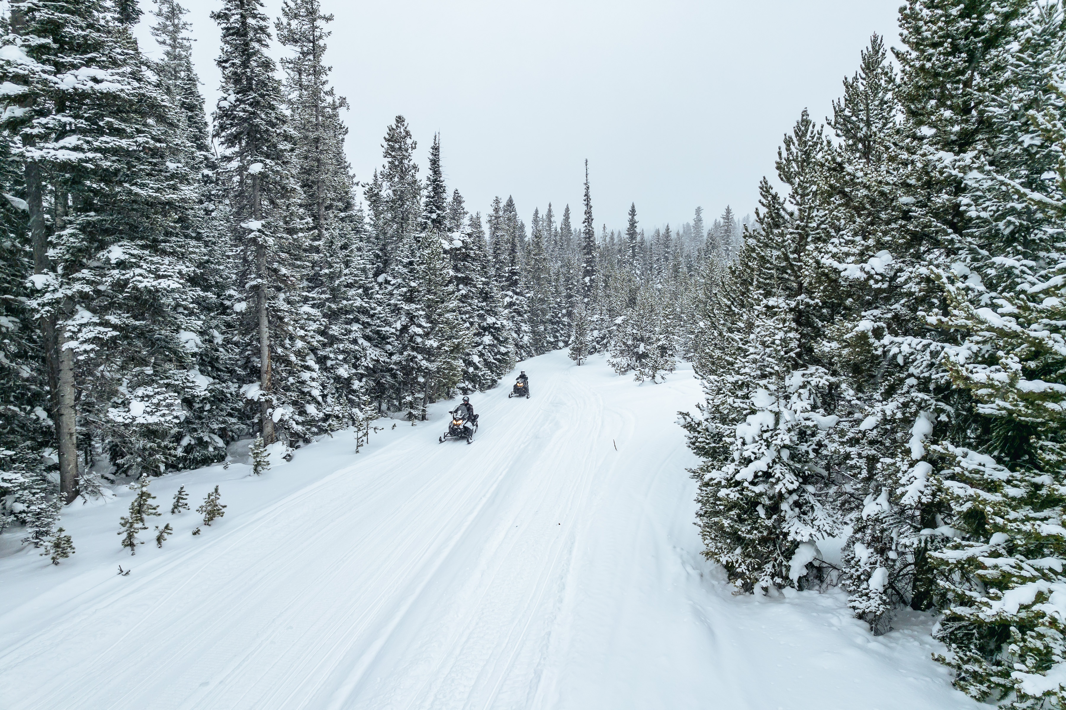 Yellowstone Snowmobile Rentals - Yellowstone Vacation Tours